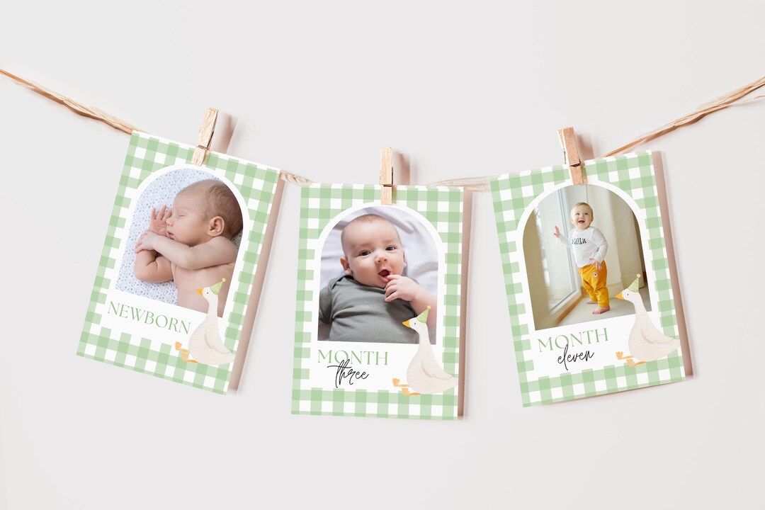 Editable One Silly Goose Birthday Photo Banner Green Plaid Goose 1st ...