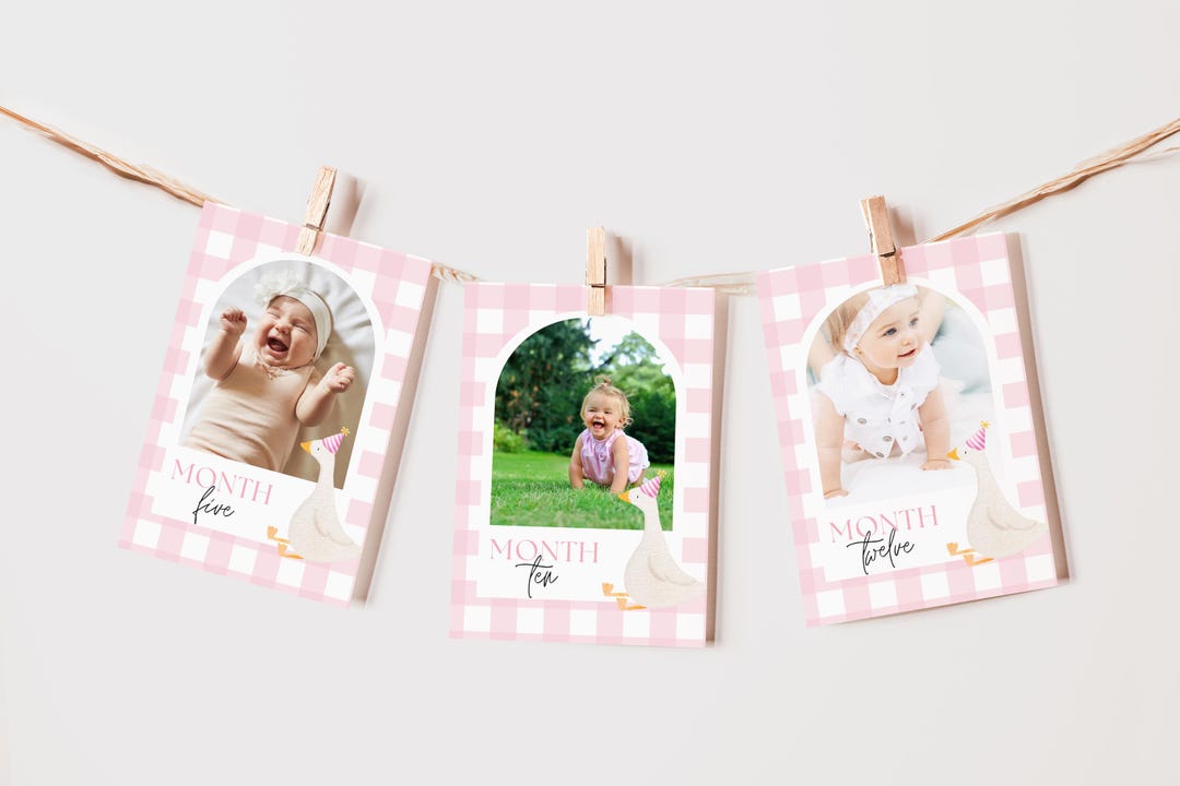Editable One Silly Goose Birthday Photo Banner Pink Goose 1st Birthday ...