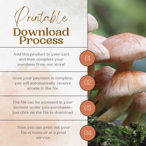 Printable Mushroom Baby Shower Diaper Raffle Sign A Little Fungi is on ...