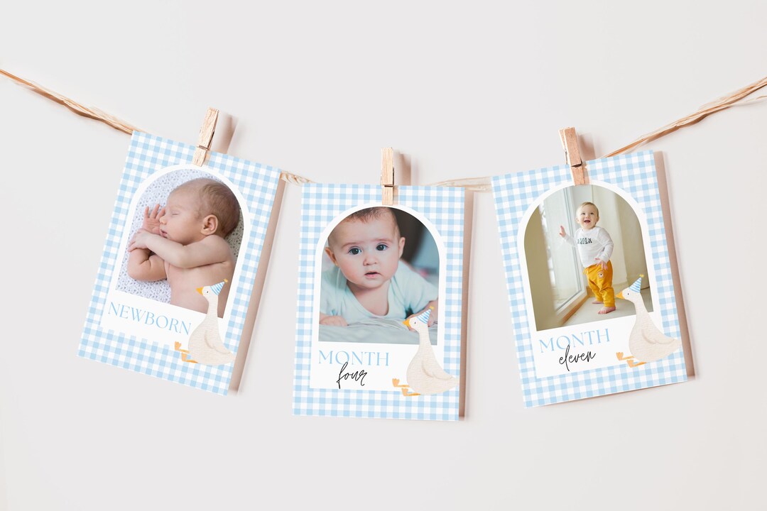Editable One Silly Goose Birthday Photo Banner Blue Goose 1st Birthday ...
