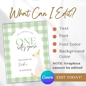One Silly Goose Birthday Decor Ideas Green Plaid Editable Welcome Sign ...
