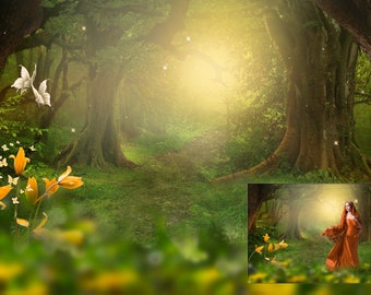 Photoshop Forest Background - Etsy