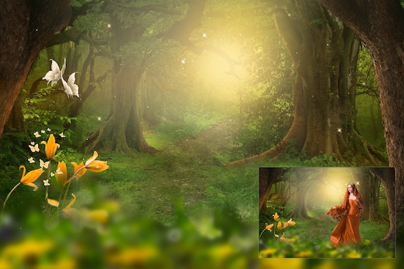 Digital Portrait Backgrounds That You Can Place Your Subject - Etsy