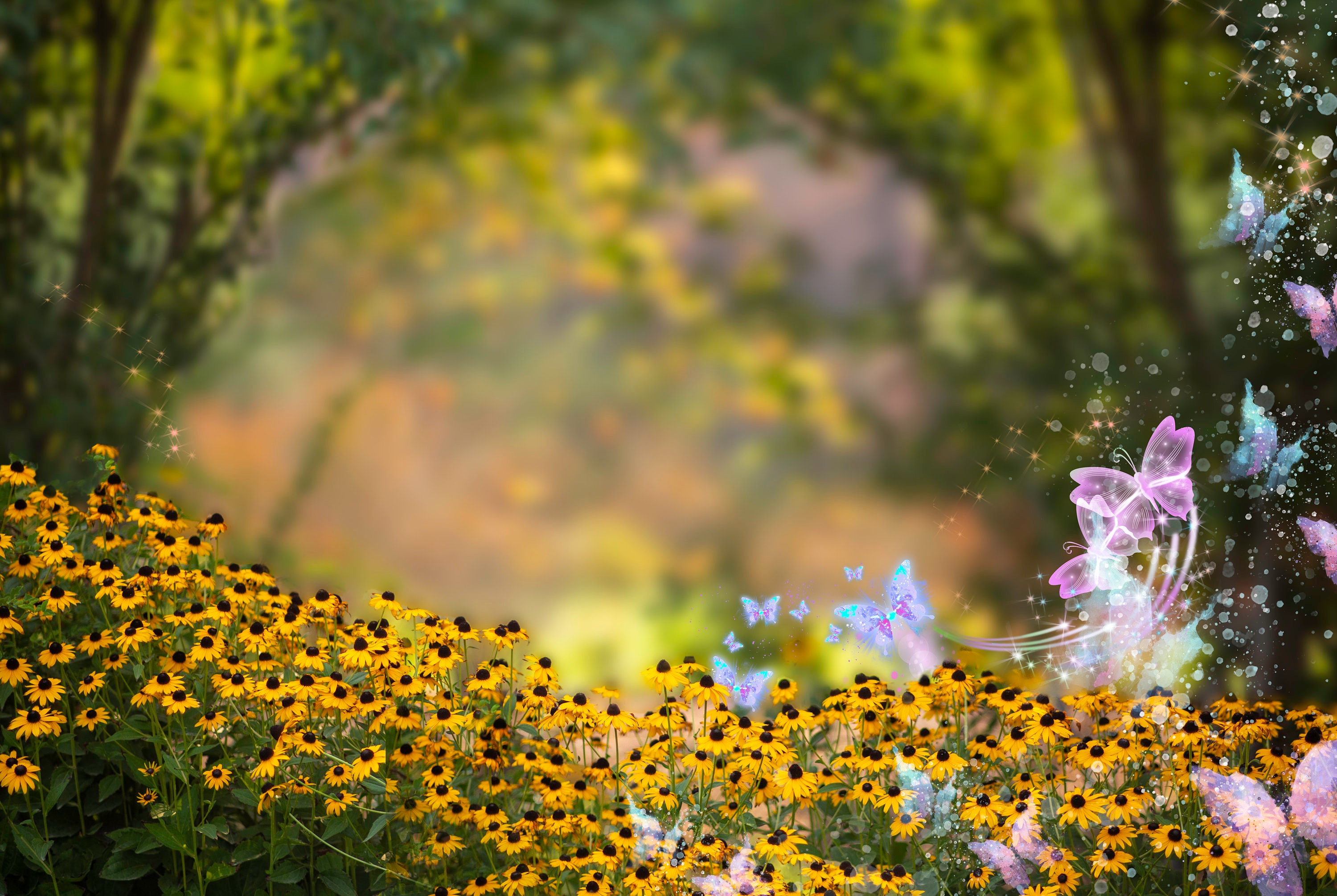 Creative Backgrounds For Photography
