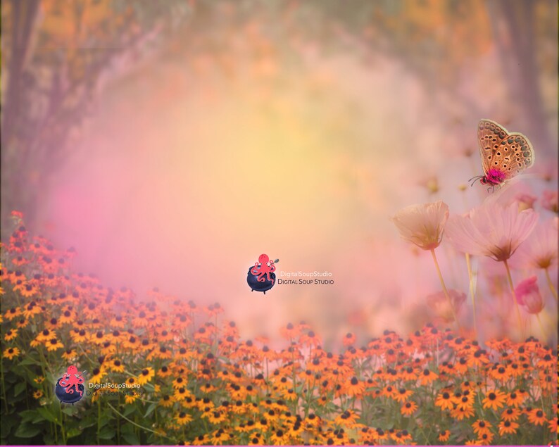 Digital Photography Background Portrait Background Photoshop - Etsy