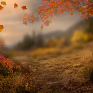 Digital Portrait Background Digital Photography Backgrounds Portrait ...