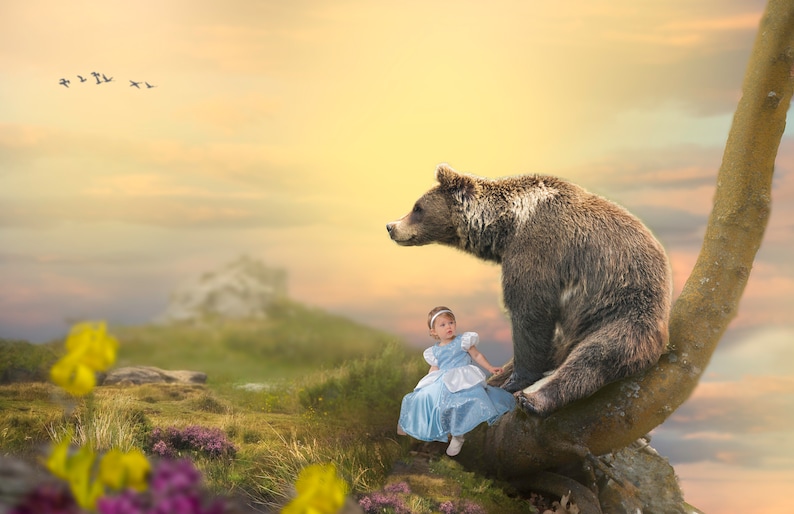 Enchanted Backgrounds fantasy Creations Digital Backdrops - Etsy