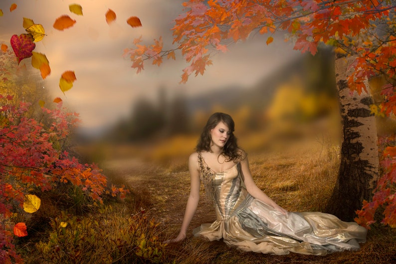 Digital Portrait Background Digital Photography Backgrounds | Etsy