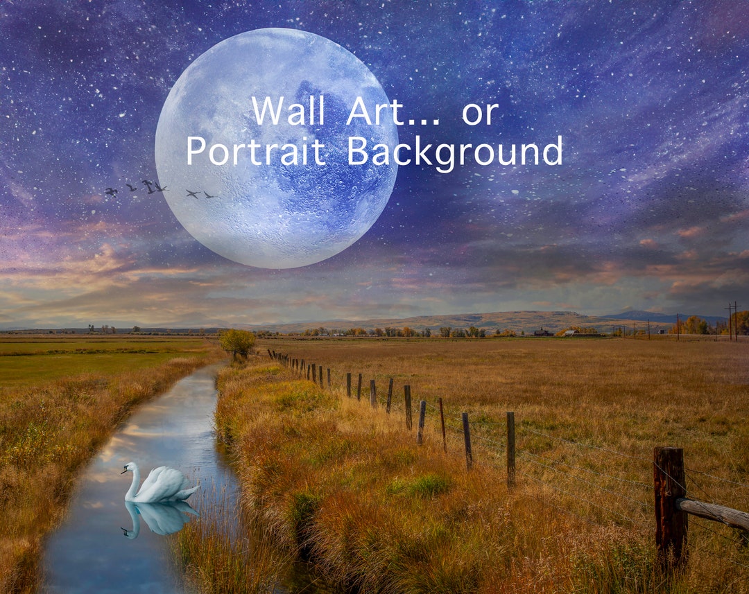 Beautiful Digital Background Photography Background for Photographers ...