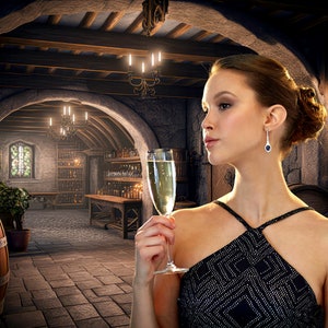 Wine Cellar and Winery Portrait Background Digital Photography ...