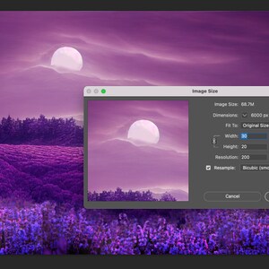 Enchanted Landscape for Photographic Background. Purple Landscape ...