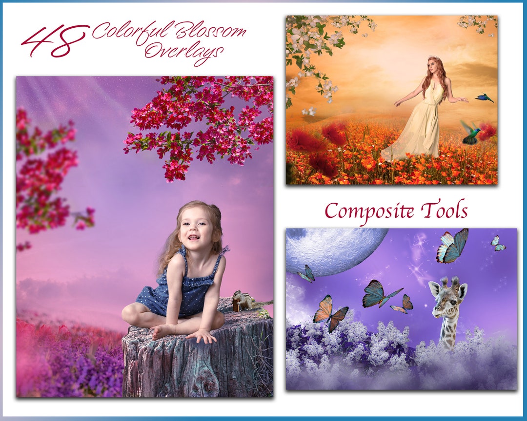 Blossom Photo Overlays | 48 Floral Photoshop Tools (digital Download ...