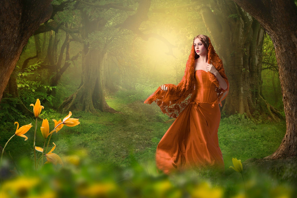 Digital Portrait Backgrounds That You Can Place Your Subject - Etsy