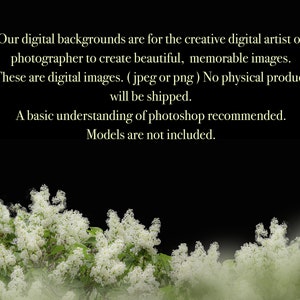 Summer Forest Photography Backdrop | Enchanted Outdoor Scene (digital ...