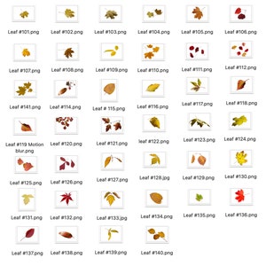 70 Autumn Photo Overlays With Two Digital Backgrounds Included Autumn ...
