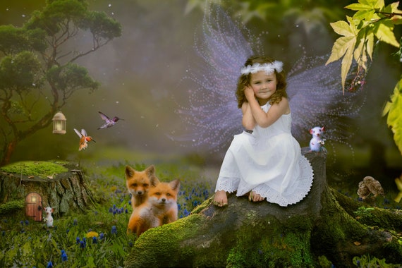 Forest Fairy Background. Digital Soup Studio Makes Digital | Etsy