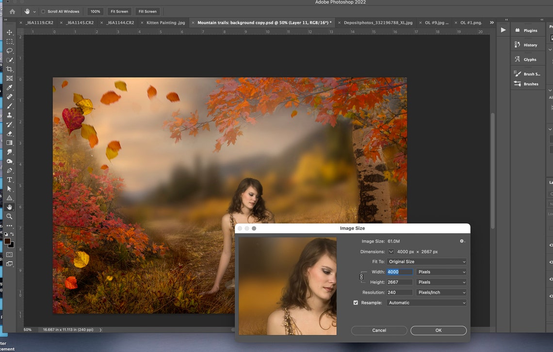 Digital Portrait Background Digital Photography Backgrounds | Etsy