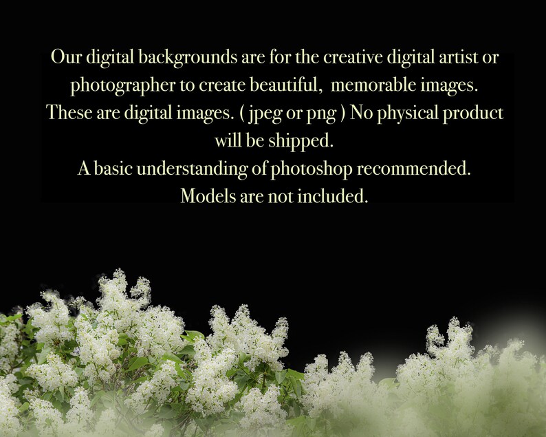 Digital Photography Background Portrait Background Photoshop - Etsy
