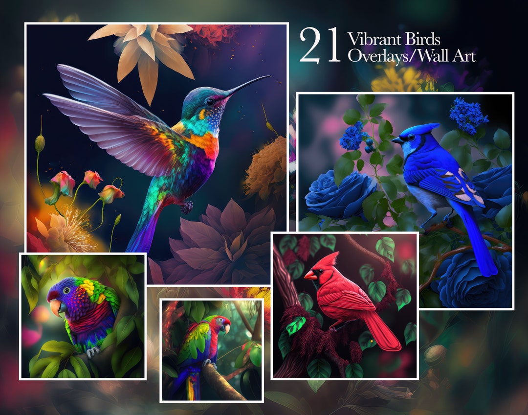 Beautiful Digital Backgrounds Overlays of Colorful Birds. Fine Art ...