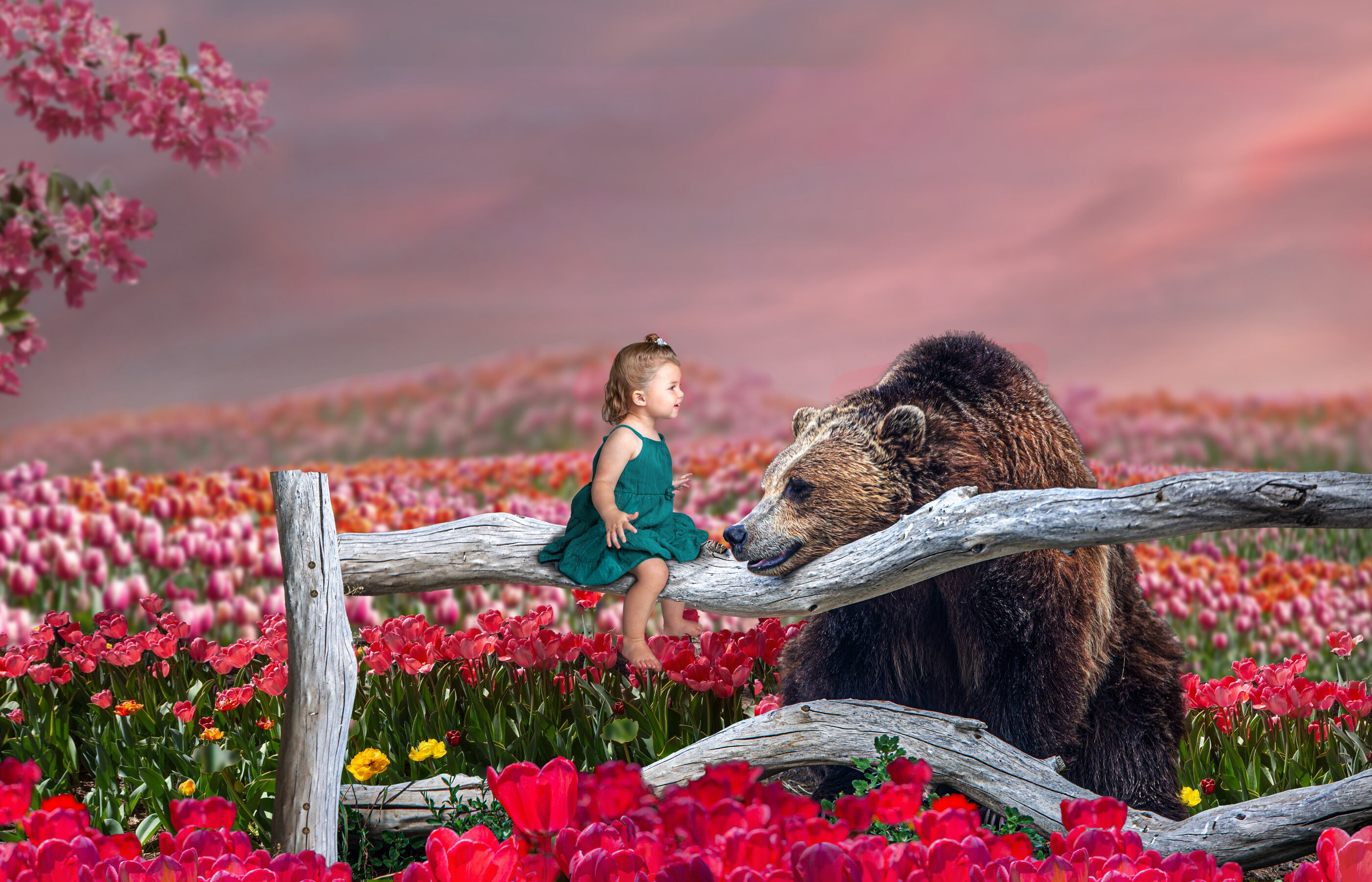 Creative Backgrounds For Photography