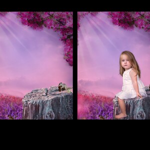 6 Spring/summer Backgrounds - Digital Backgrounds for Photographer to ...