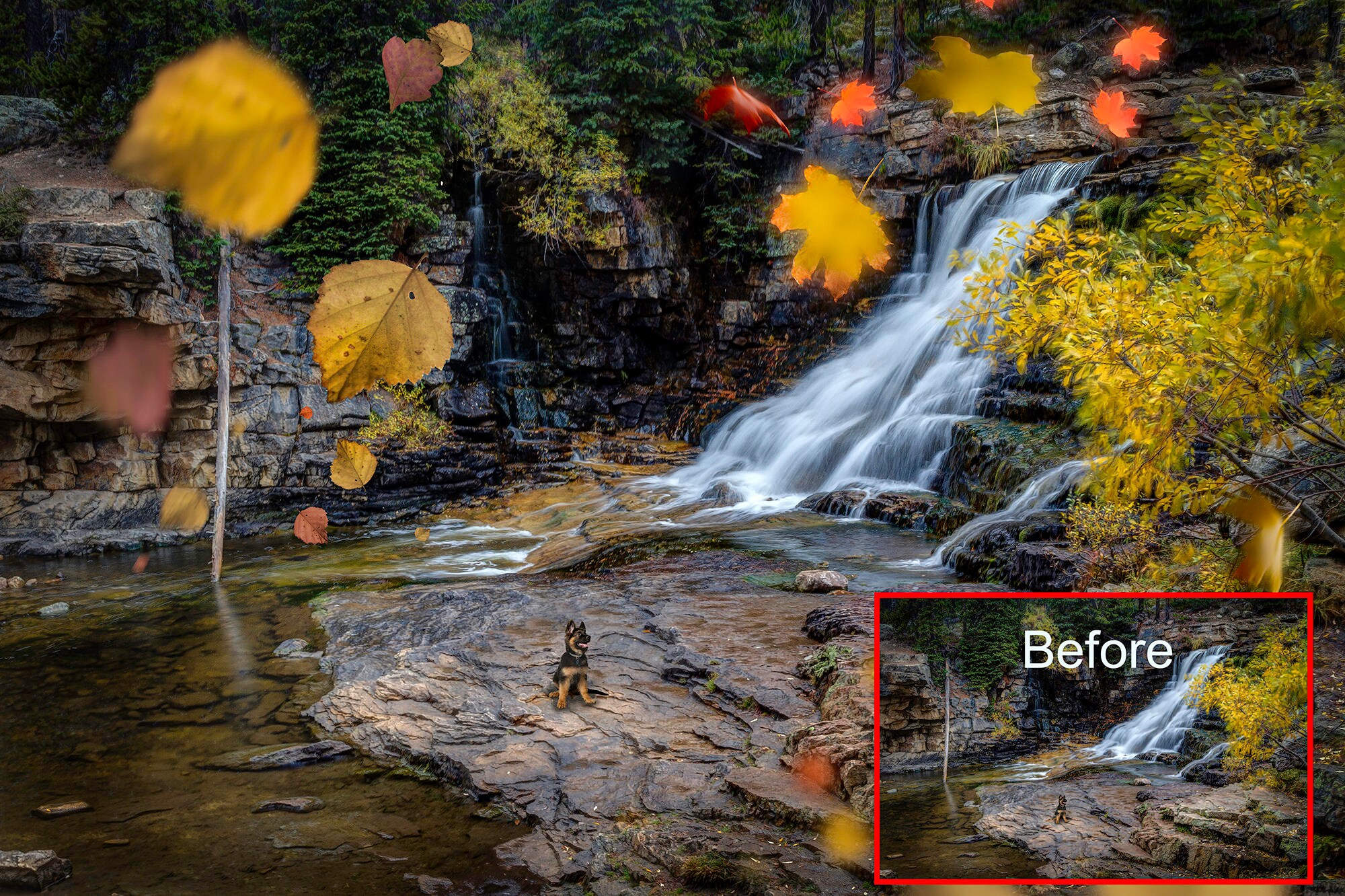 70 Autumn Photo Overlays With Two Digital Backgrounds Included, Autumn ...