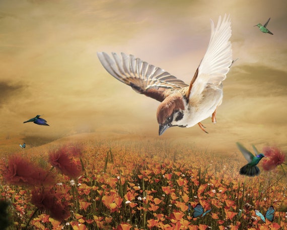 Photoshop Background Composite for Photographers Beautiful | Etsy