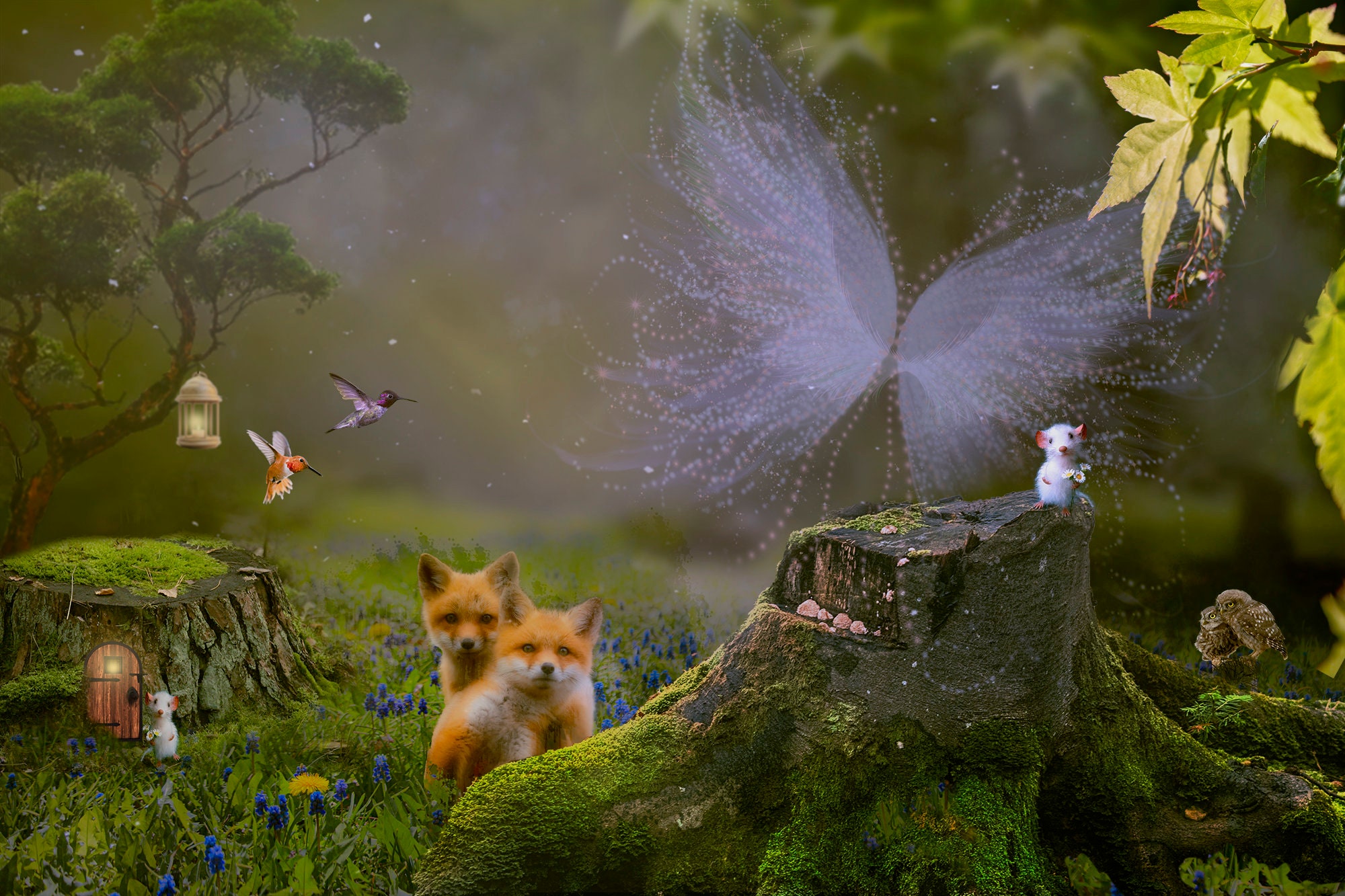 Forest Fairy Background Digital Soup Studio Makes Digital Photography ...