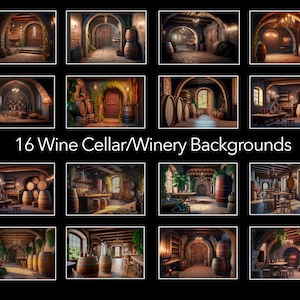 Wine Cellar and Winery Portrait Background Digital Photography ...