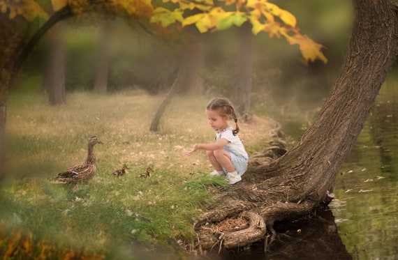 Creative Backgrounds For Photography