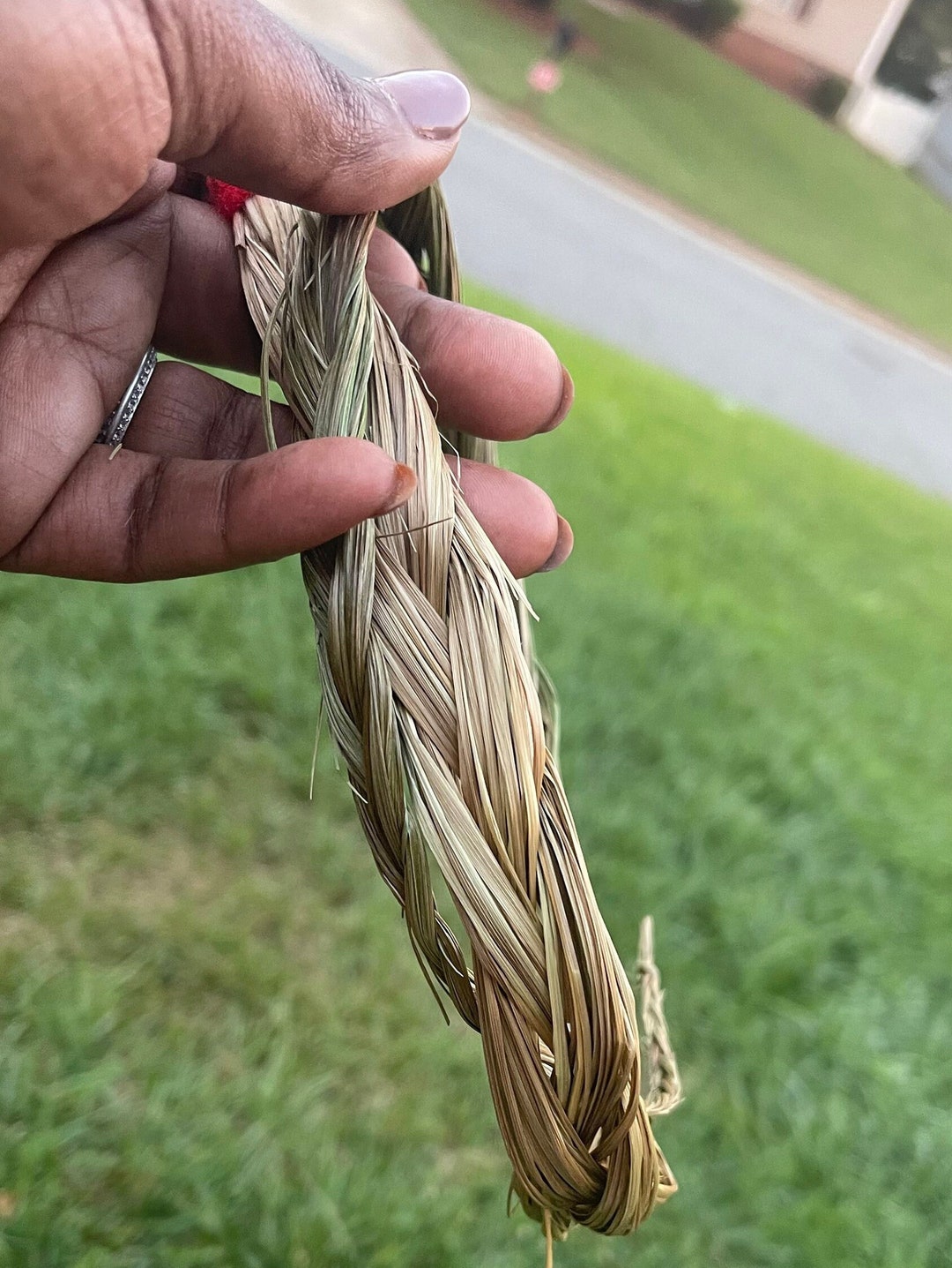 Sweetgrass Braid - 20-25"l - Etsy