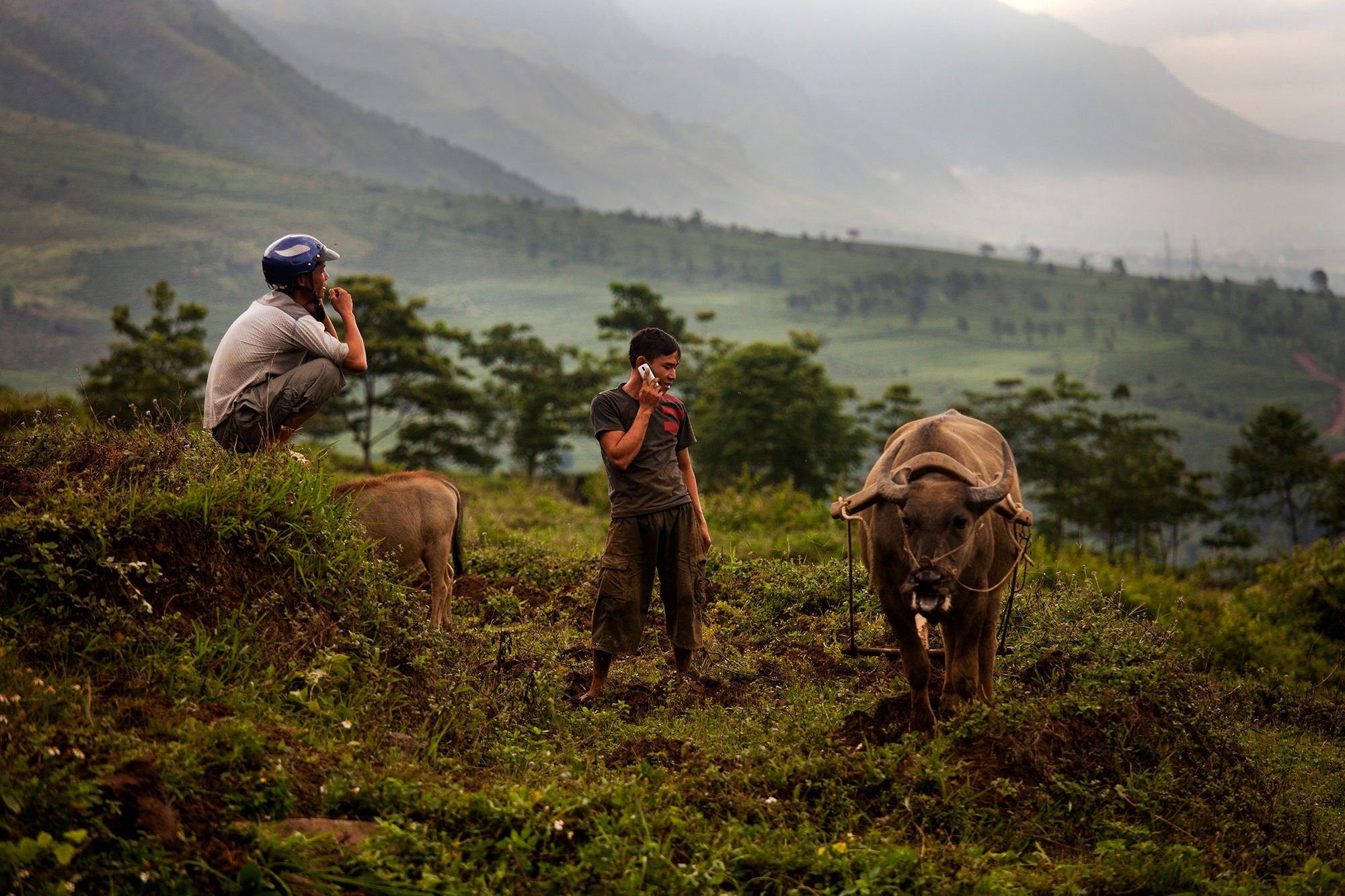 Canvas, Photo Print of Vietnamese Farmers Resting | Mix of Ancient Farm ...