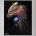 Guanlong - Etsy Canada