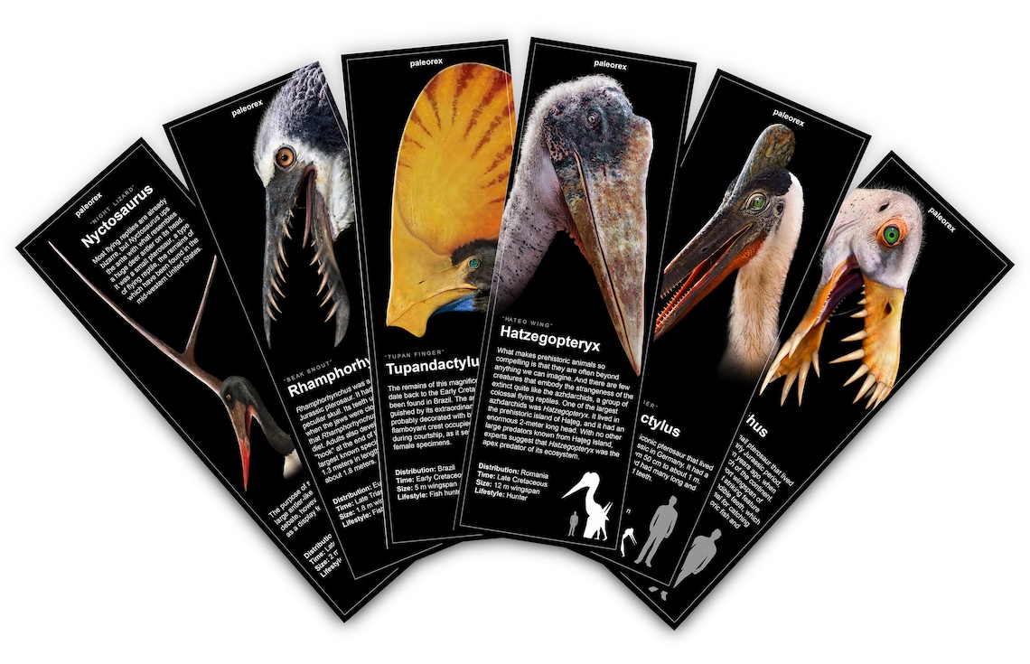 Pterosaurs Bookmark Collection | Etsy