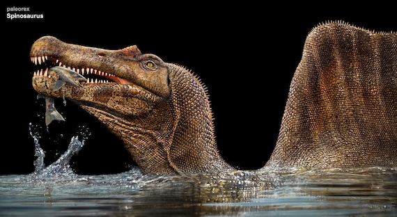 Spinosaurus - Etsy