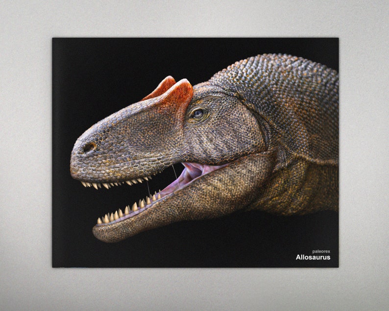 Allosaurus - Etsy