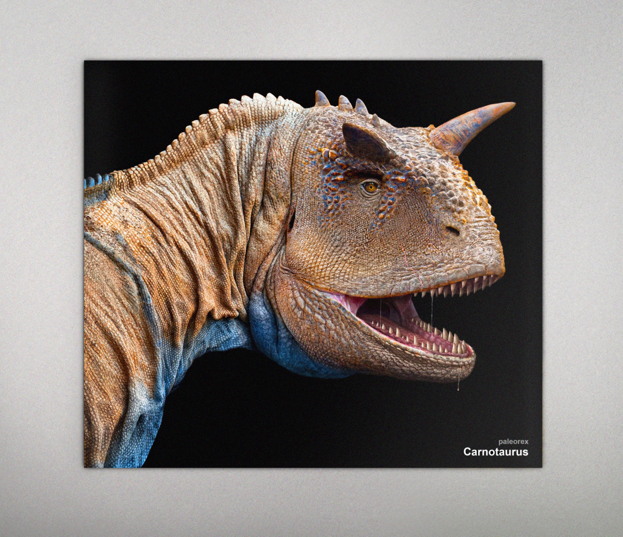 Carnotaurus - Etsy