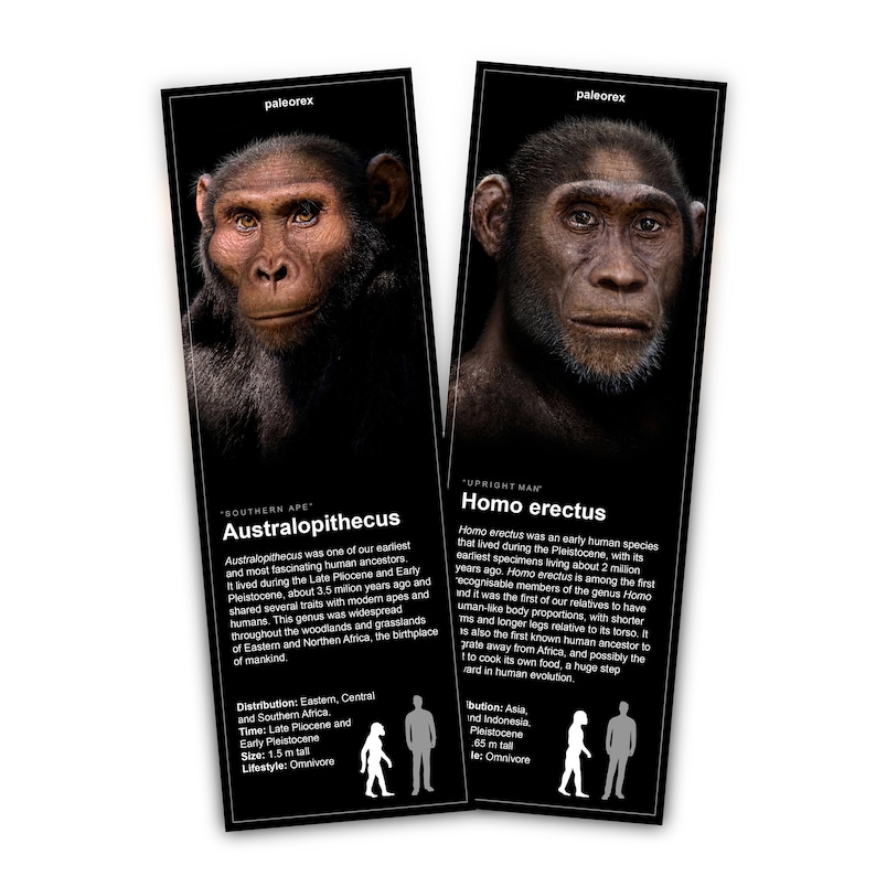 Australopithecus & Homo Erectus - Bookmarks - Etsy
