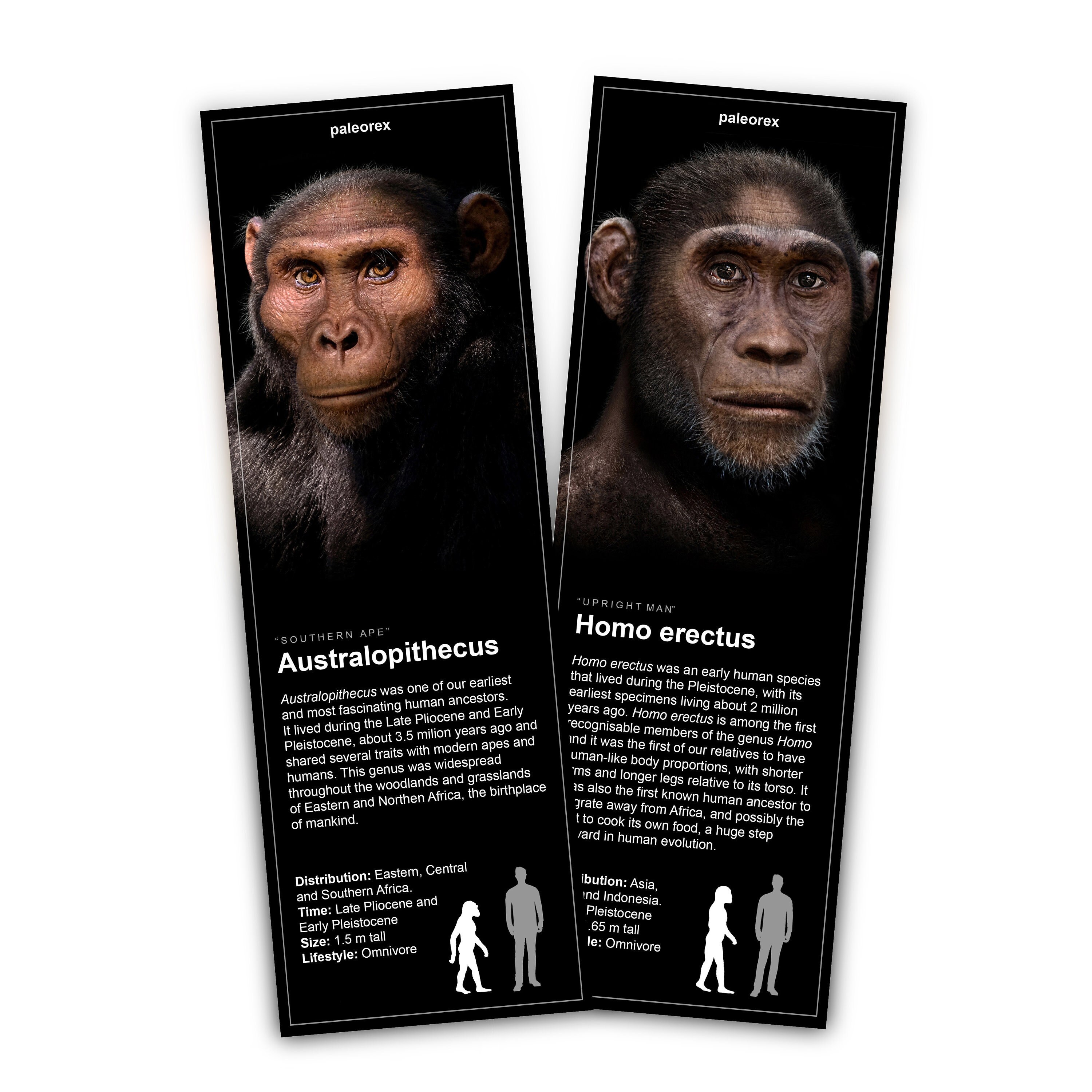 Australopithecus & Homo Erectus - Bookmarks - Etsy