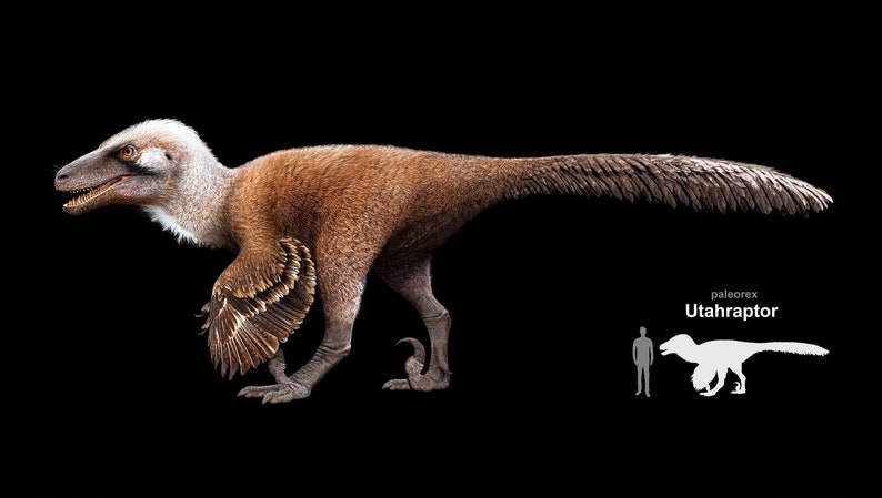Utahraptor - Etsy