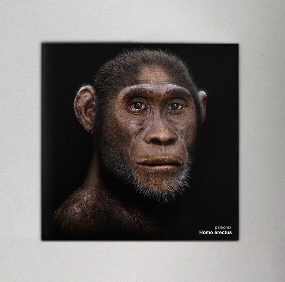 Homo Erectus Clothing