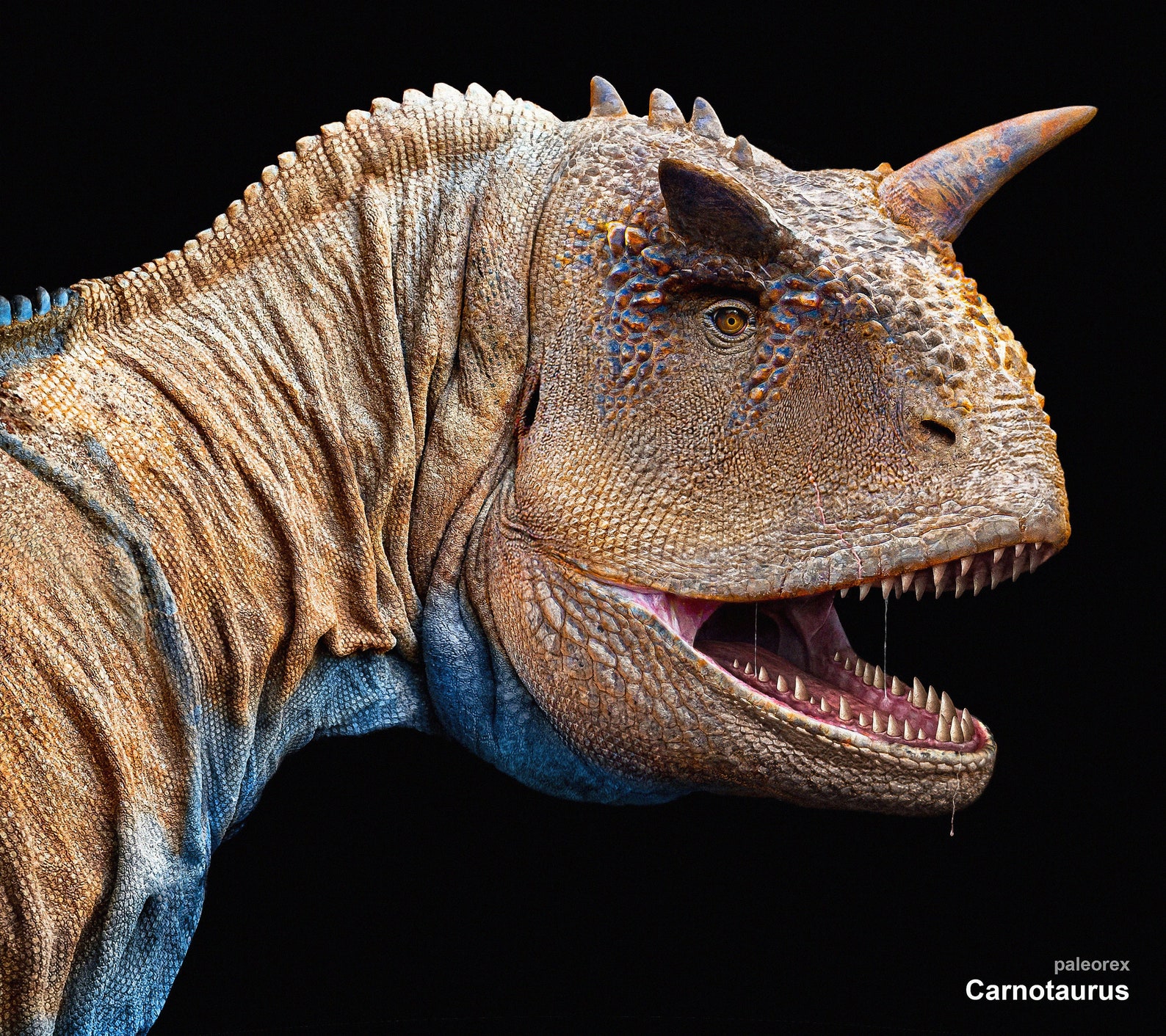 Carnotaurus - Etsy