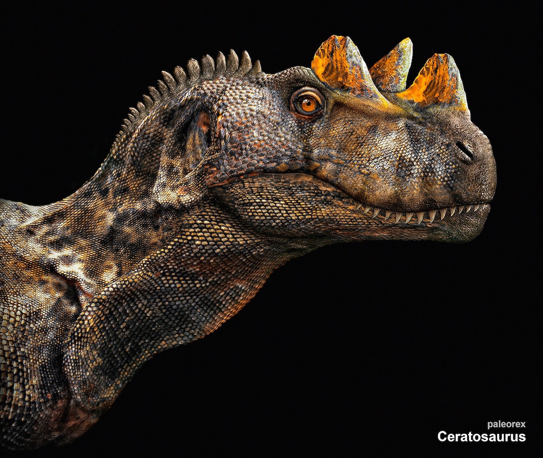 Ceratosaurus - Etsy UK
