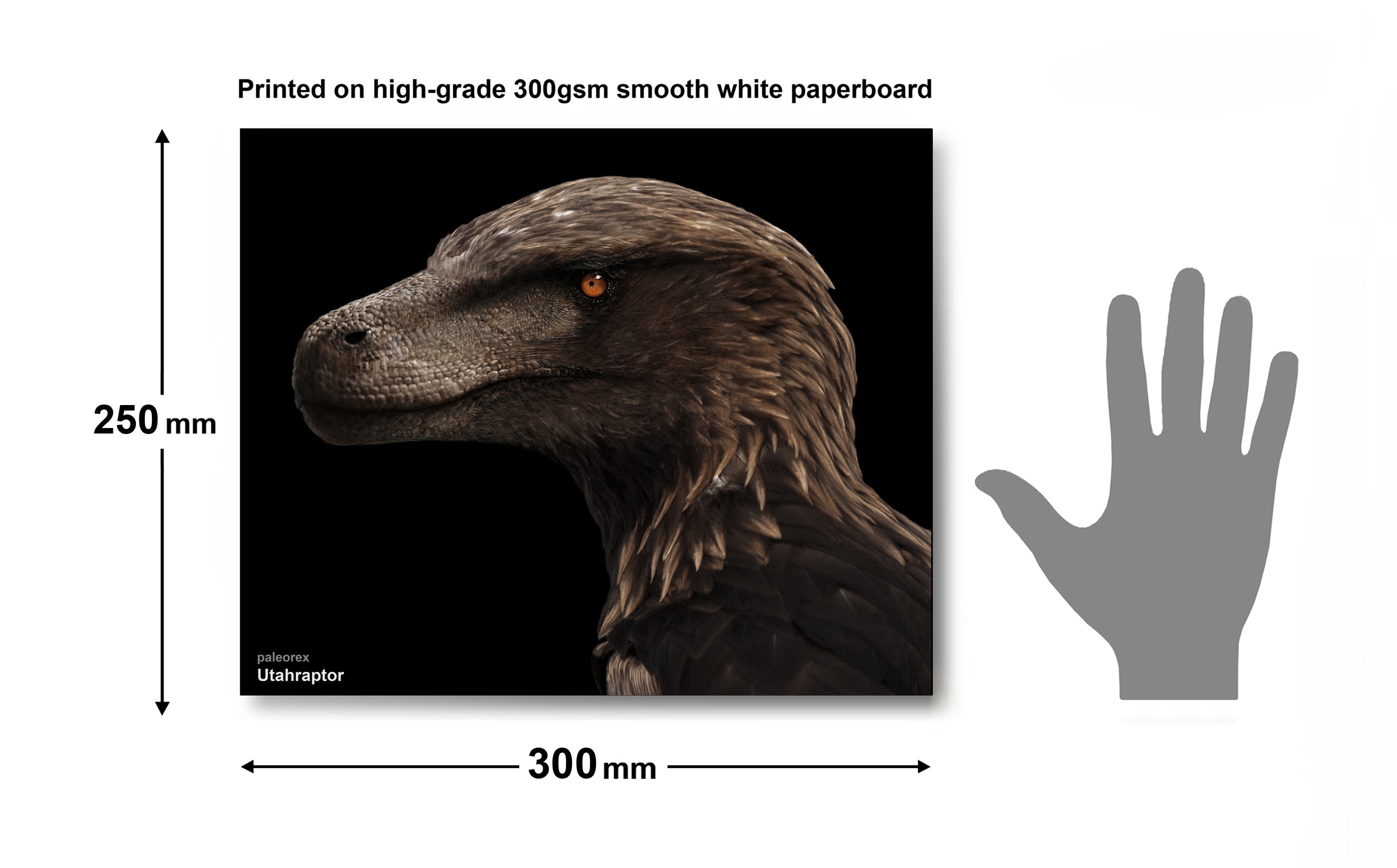 Utahraptor Size Comparison