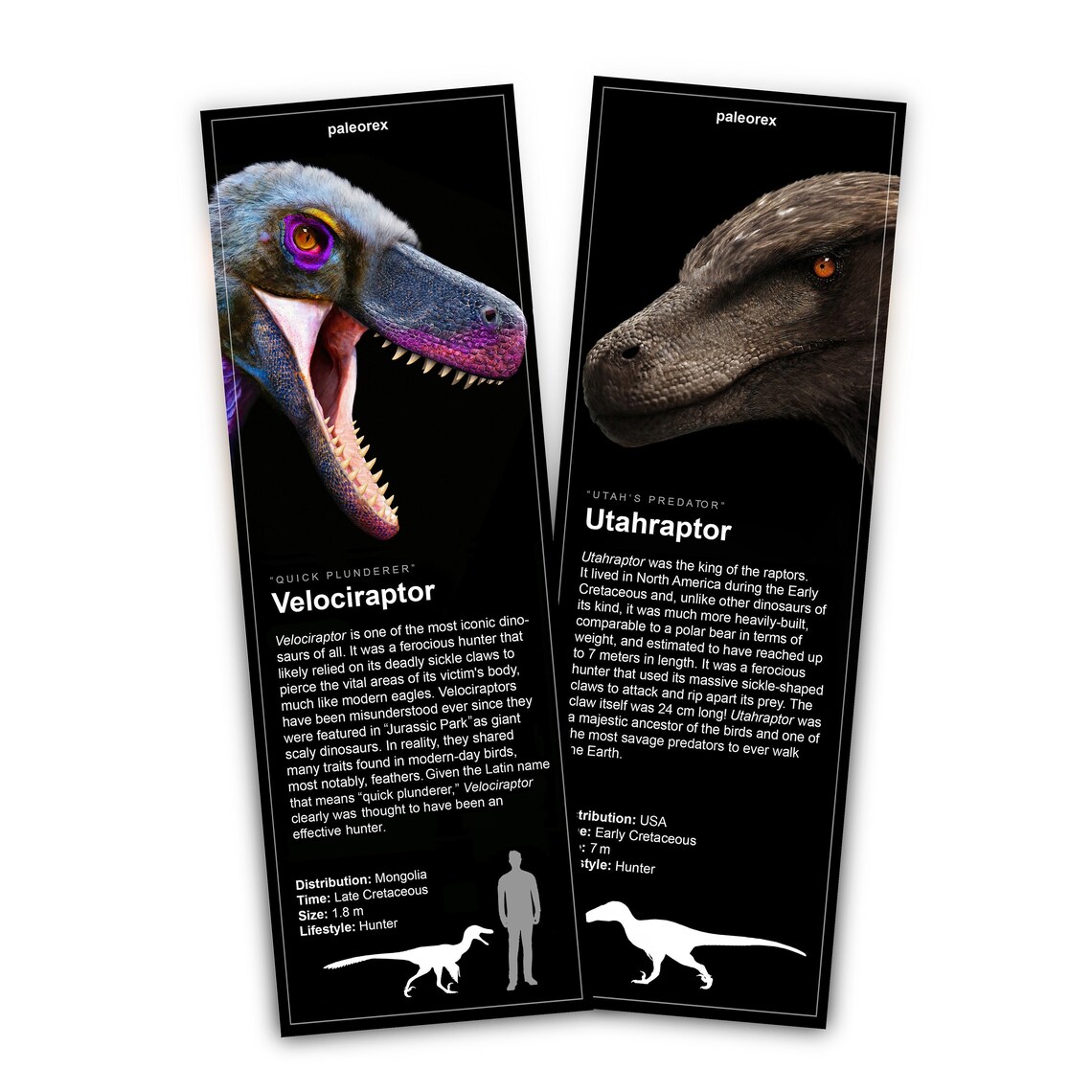 Velociraptor & Utahraptor Bookmark - Etsy