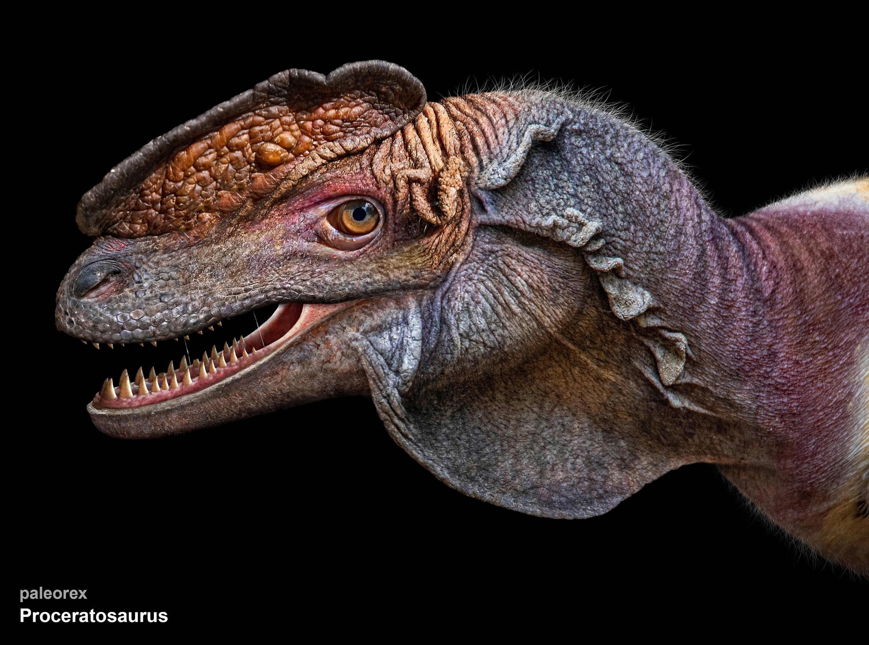 Proceratosaurus