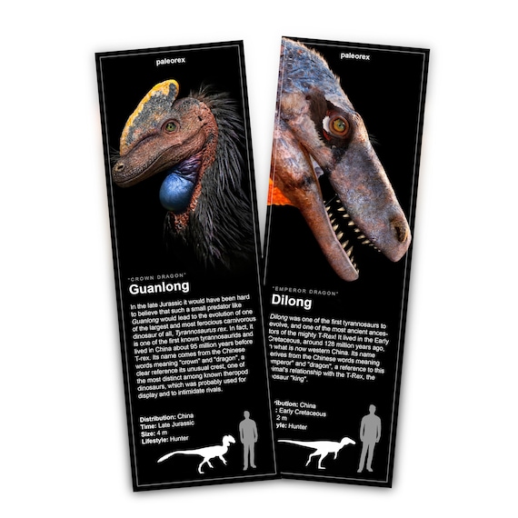 Guanlong Size