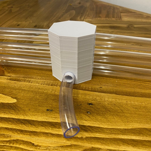 Ant Queen Test Tube - Etsy