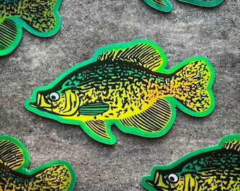 Crappie Sticker - Etsy