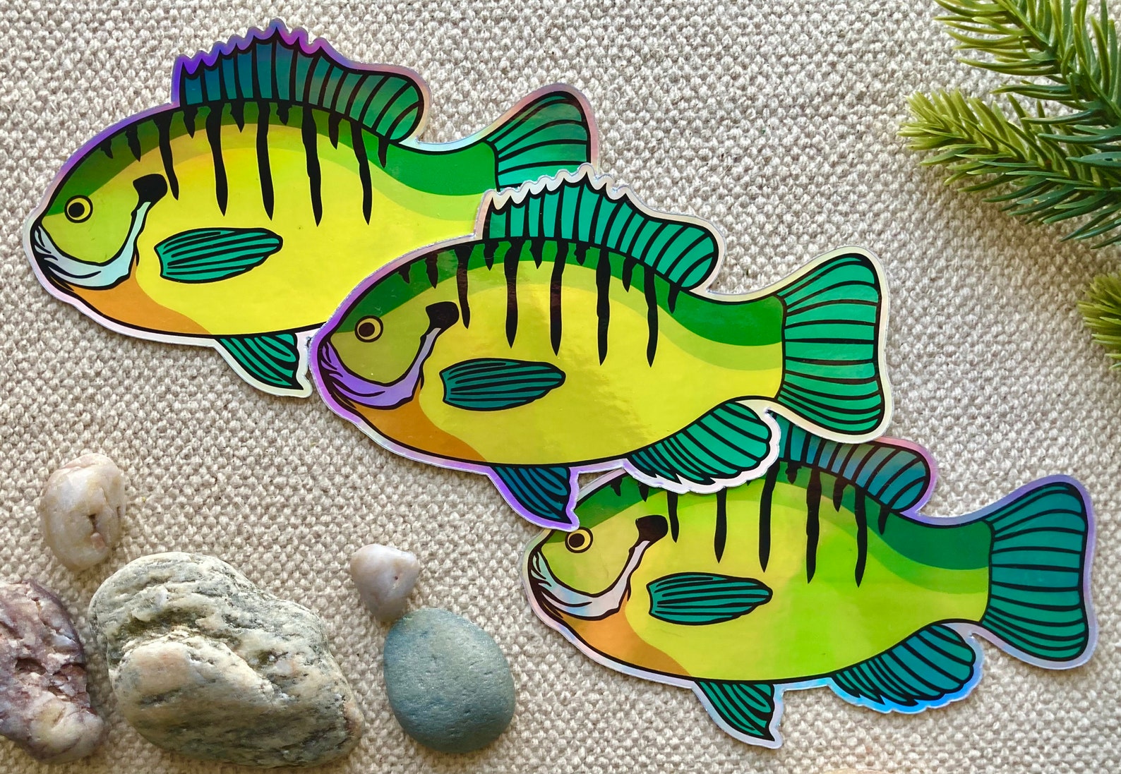 Holographic Bluegill Sticker Fishing Sticker Perfect for Boats, Tackle ...